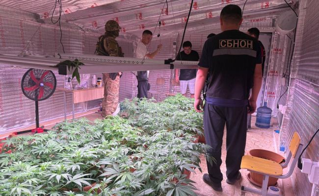 В одном из детских садов Бишкека обнаружили подпольную нарколабораторию — EADaily, 6 июня 2025 ...